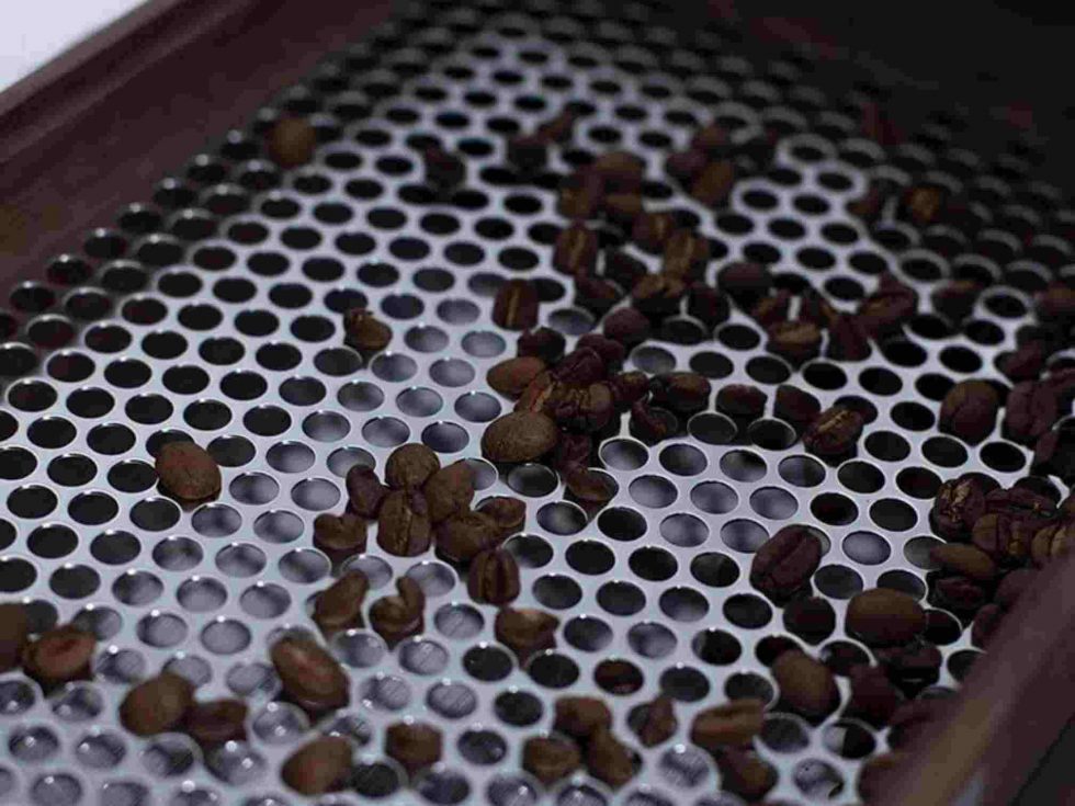How Is Coffee Processed? | Learn More