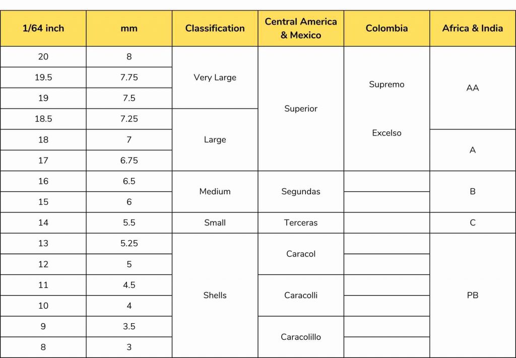 How Is Coffee Processed? | Learn More