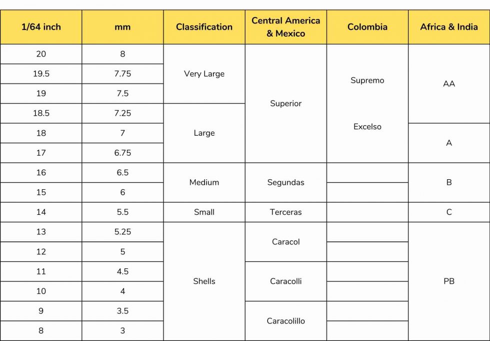 How Is Coffee Processed? | Learn More